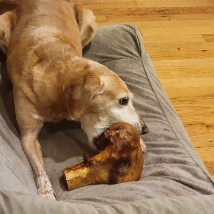 Farmer's Fetch Bones - Premium Quality, Farm-Fresh Bones For Dogs