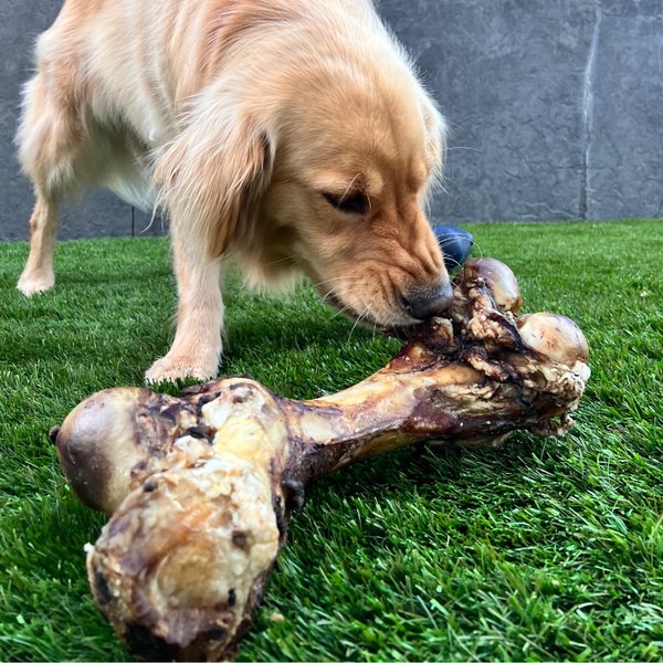 Big Ol' Bone - Giant Bones For Aggressive Chewers | Farmer's Fetch