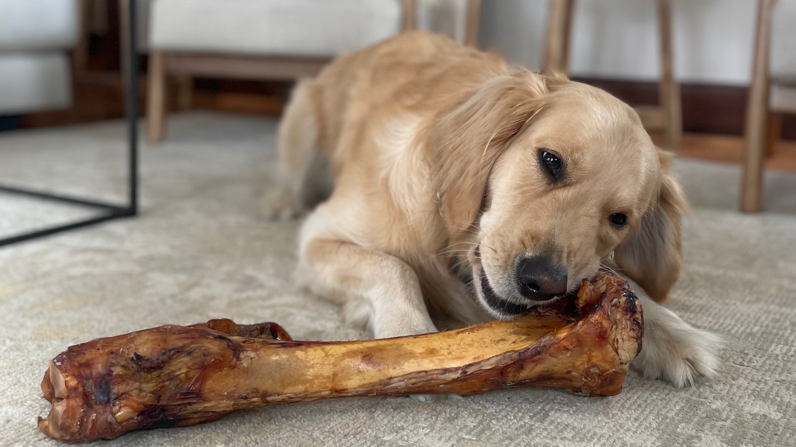 Farmer's Fetch Bones - Premium Quality, Farm-Fresh Bones For Dogs