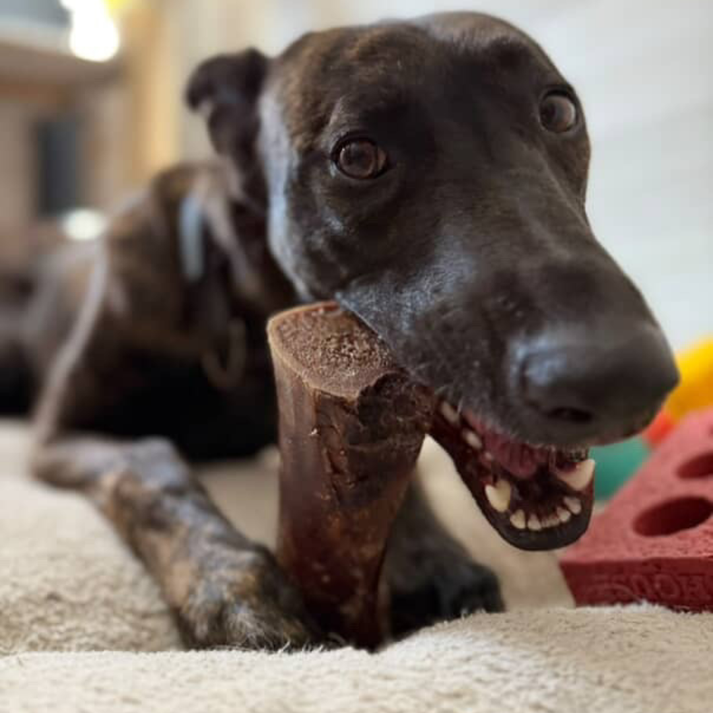 Large Smoked Marrow Bones | 7” long – Farmer's Fetch